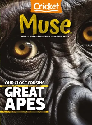 Muse – April 2024 - Free Magazine PDF