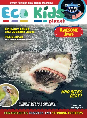 Eco Kids Planet Magazine - Issue 123, January 2025 | Free Magazine PDF