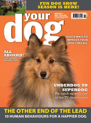 Your Dog - April 2025 - Free Magazine PDF