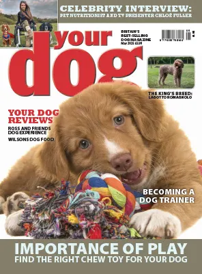 Your Dog - May 2025 - Free Magazine PDF