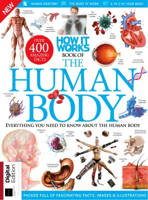 How It Works - Book of the Human Body, 22nd Edition, 2025 - Free ...