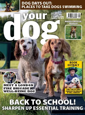 Your Dog - September 2025 - Free Magazine PDF