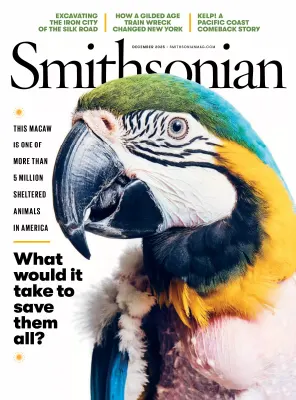 Smithsonian Magazine - December 2025 - Free Magazine PDF