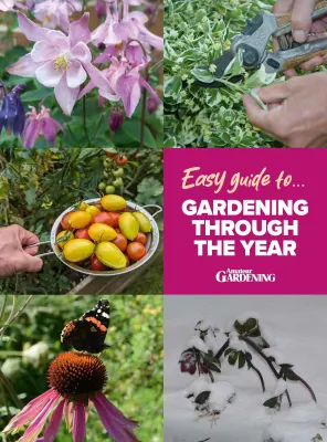 Amateur Gardening Easy Guide To - Gardening Through The Year, 2025 ...