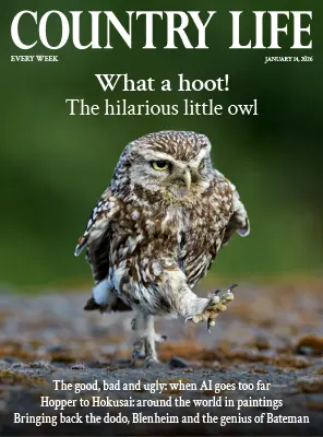 Country Life UK - January 14, 2026 - Free Magazine PDF