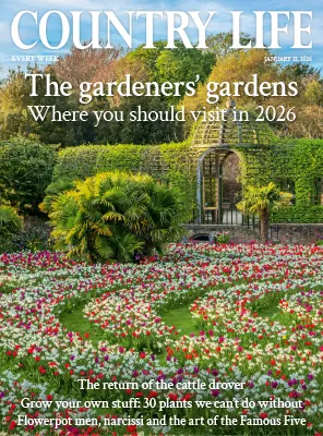 Country Life UK - January 21, 2026 - Free Magazine PDF