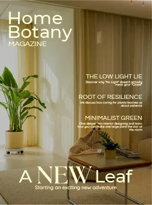 Home Botany Magazine - Issue 01, 2026 - Free Magazine PDF